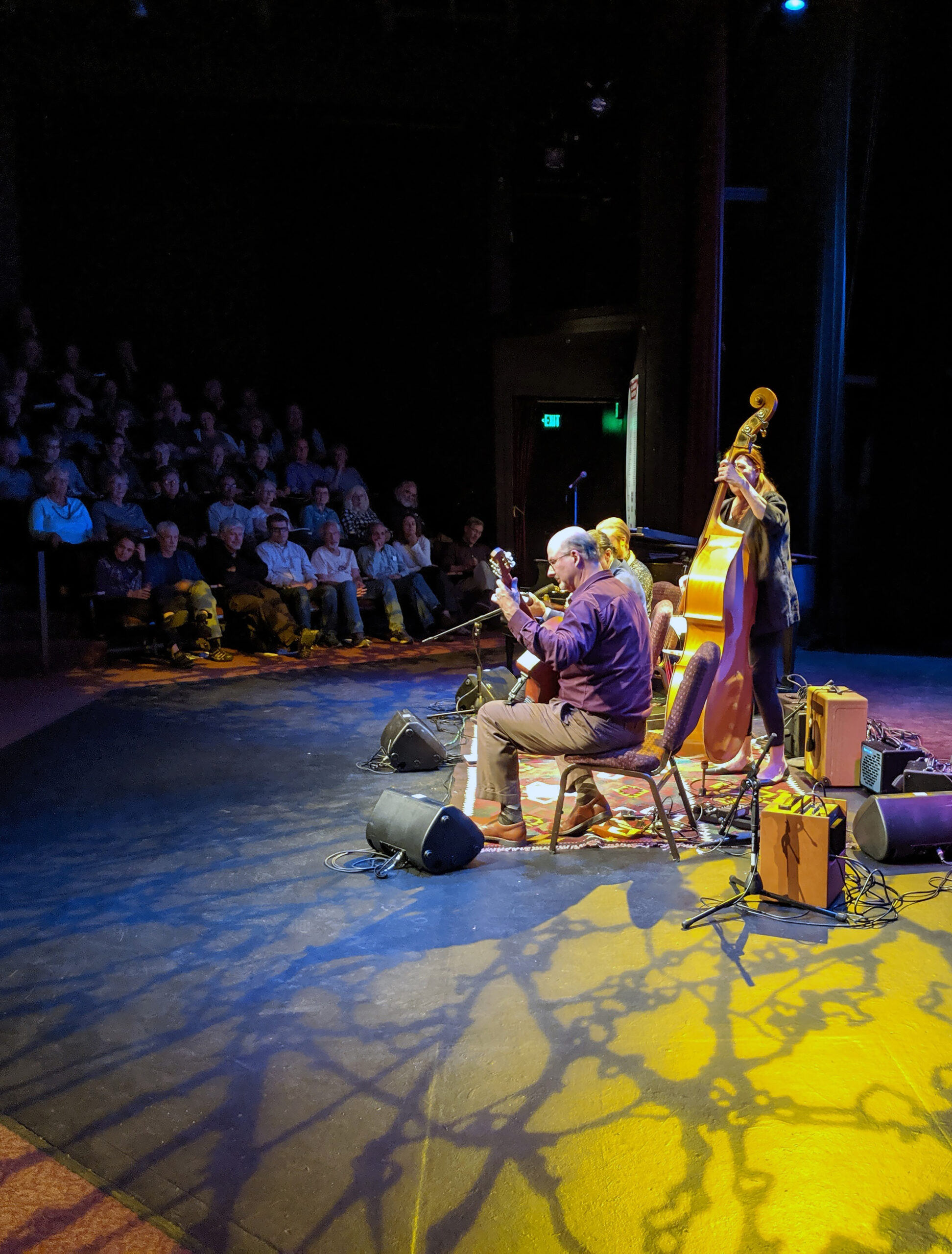DjangoFest celebrates 23 years of world class music, artists - Whidbey ...